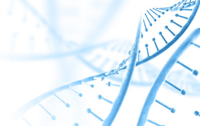 Emerging Risk Initiative Archives - The CRO Forum